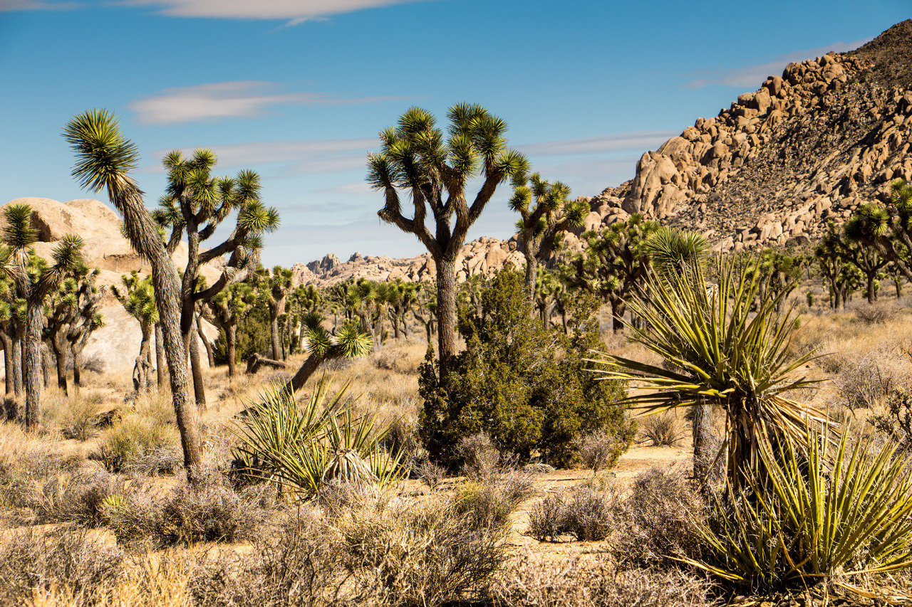 Rescue from the Wilderness – A Special Assignment – Metallicman