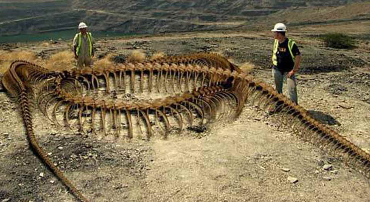 The snake from Hell; Titanoboa – Metallicman
