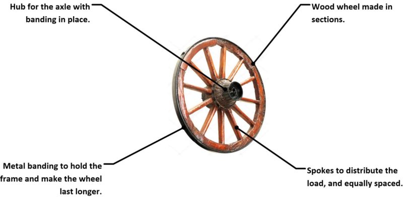 The mystery of the 300 million year old wheel embedded inside sandstone ...